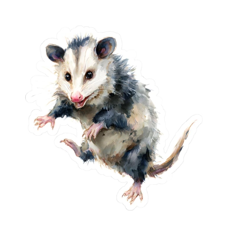 Opossum Stickers - Etsy