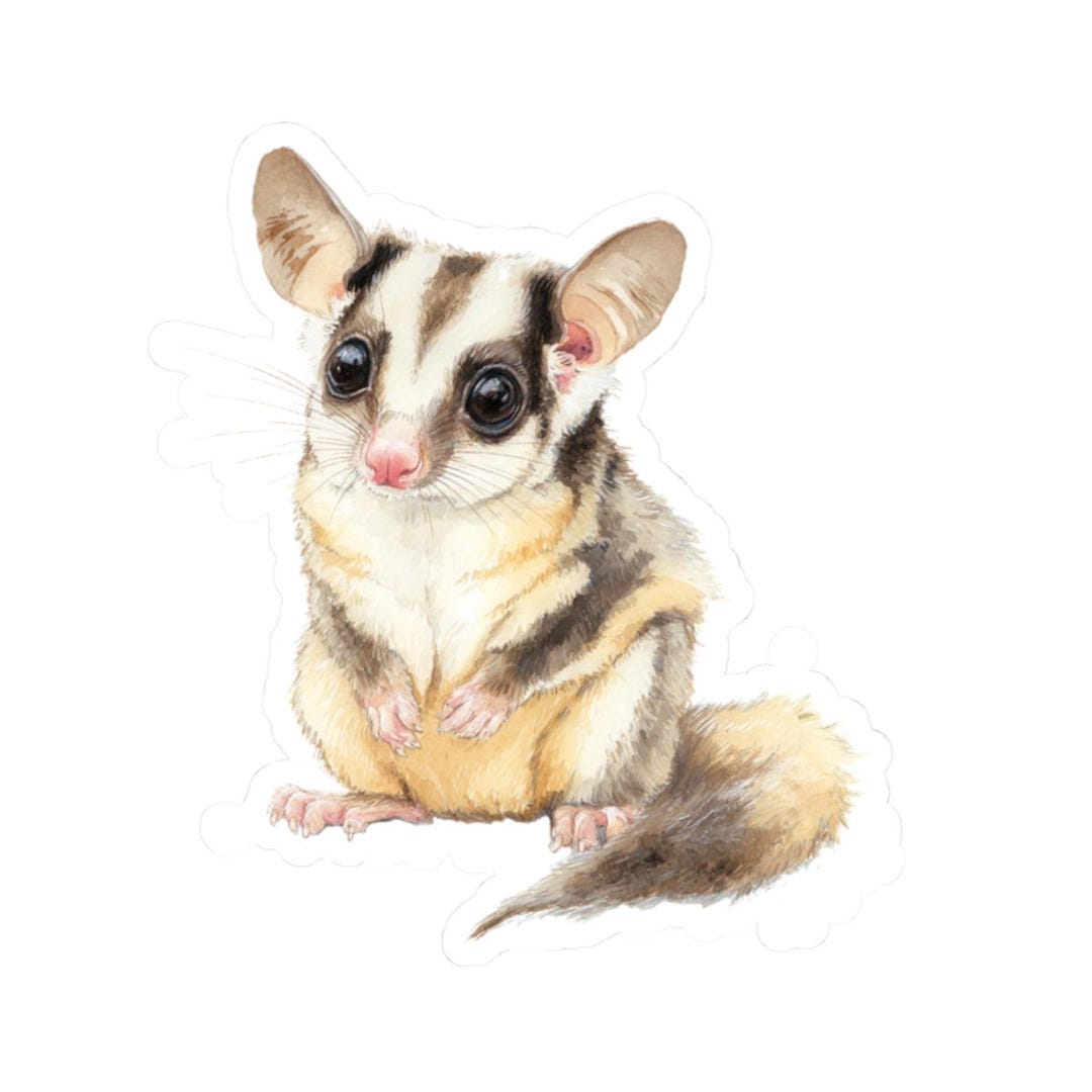 Sugar Glider Sticker, Cute Animal Decal for Planner, Laptop, or Kids ...