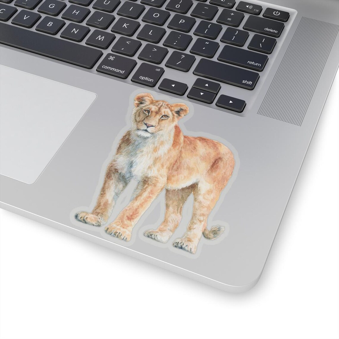 Lion Sticker, Lioness Decal, Cute Animal Vinyl Decal for Laptops ...