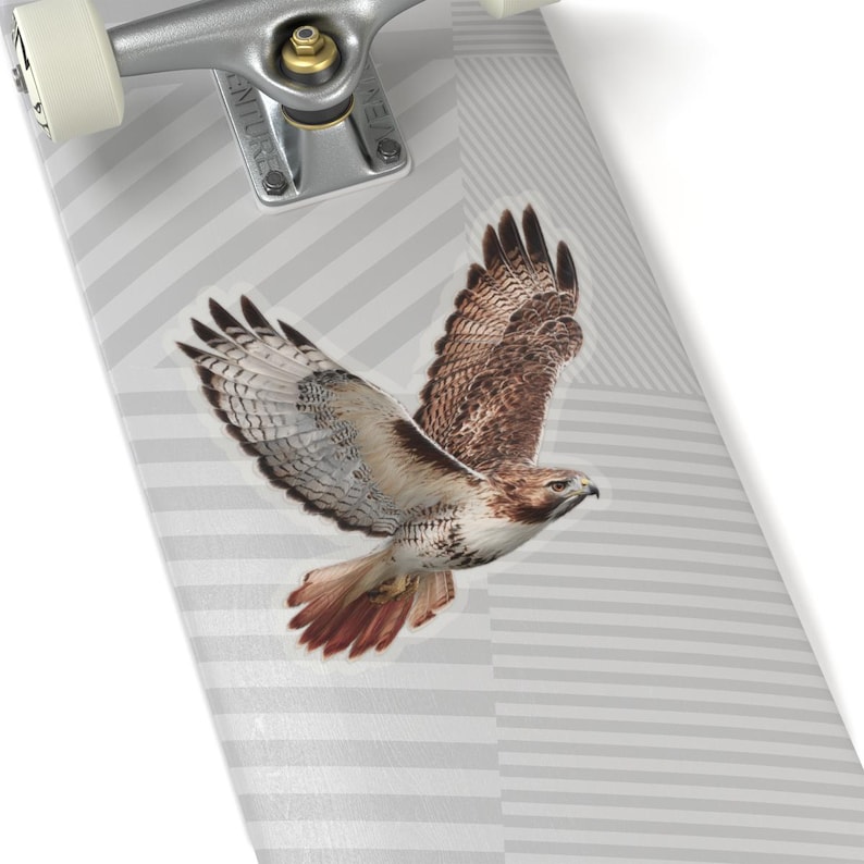 Hawk Sticker, Red-tailed Hawk Decal, Bird Stickers, Nature Animals ...