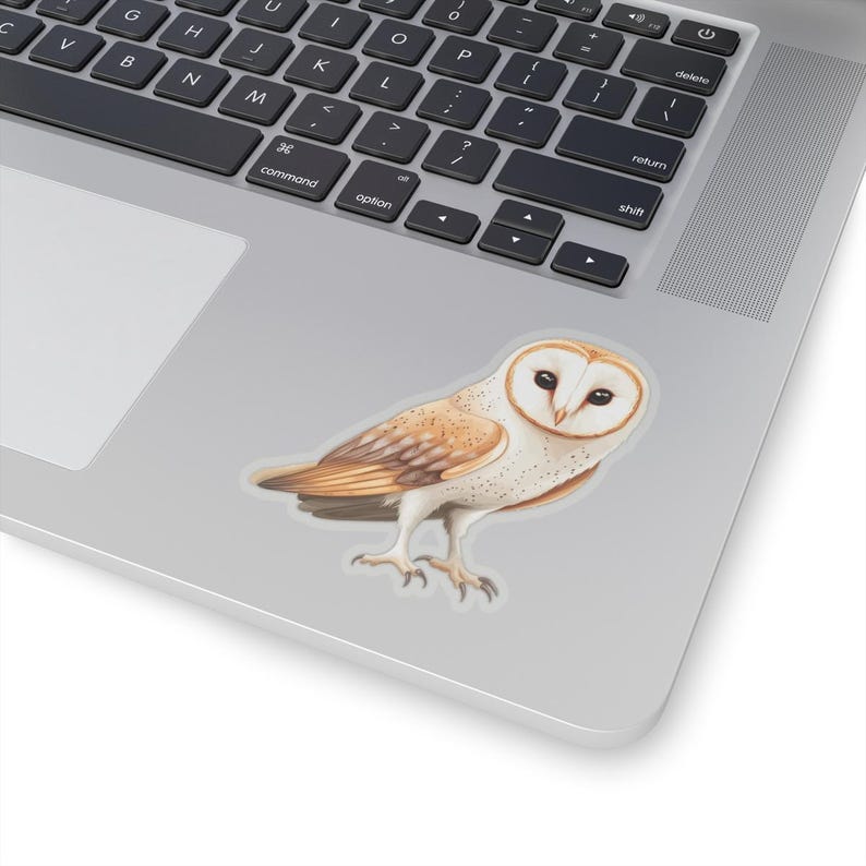 Barn Owl Sticker, Owl Decal, Nature Animals Sticker, Laptop Decal ...