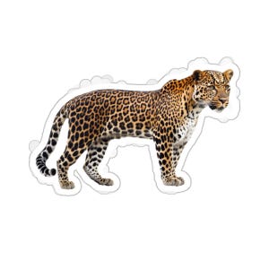 Leopard Sticker, Panthera Cute Vinyl Decal, Big Cat Phone Sticker ...