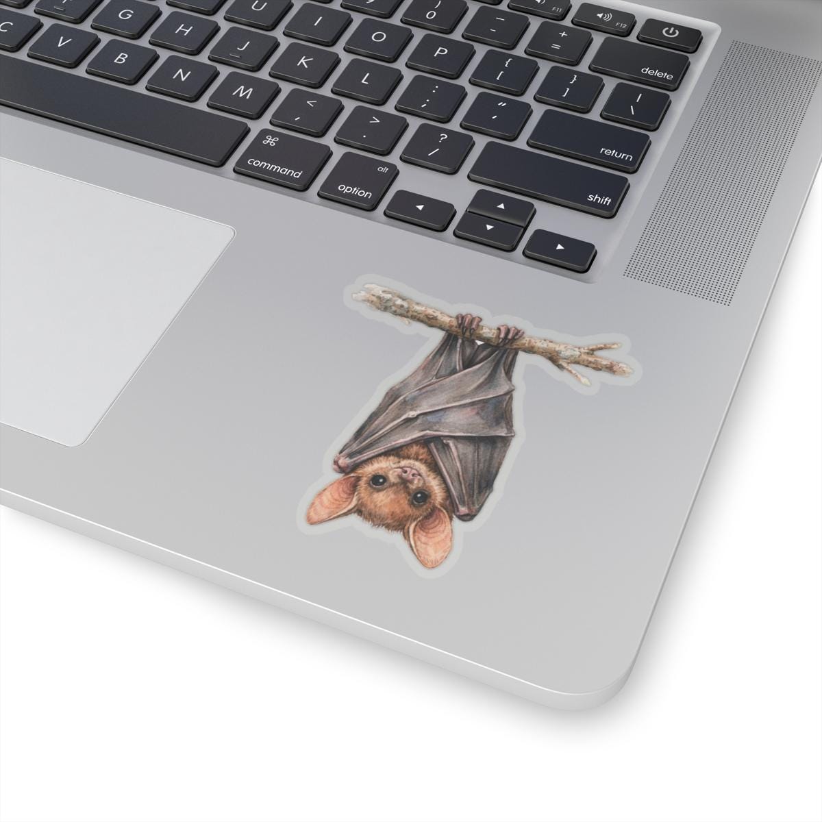 Bat Sticker, Hanging Fruit Hat, Laptop Stickers, Halloween Gifts ...