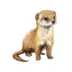 Mongoose Sticker, Cute Animal Decal, Laptop Decor, Gift for Animal ...