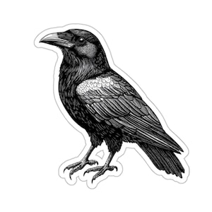 Crow Sticker, Raven Decal, Bird Sticker, Nature Animals Sticker, Laptop ...
