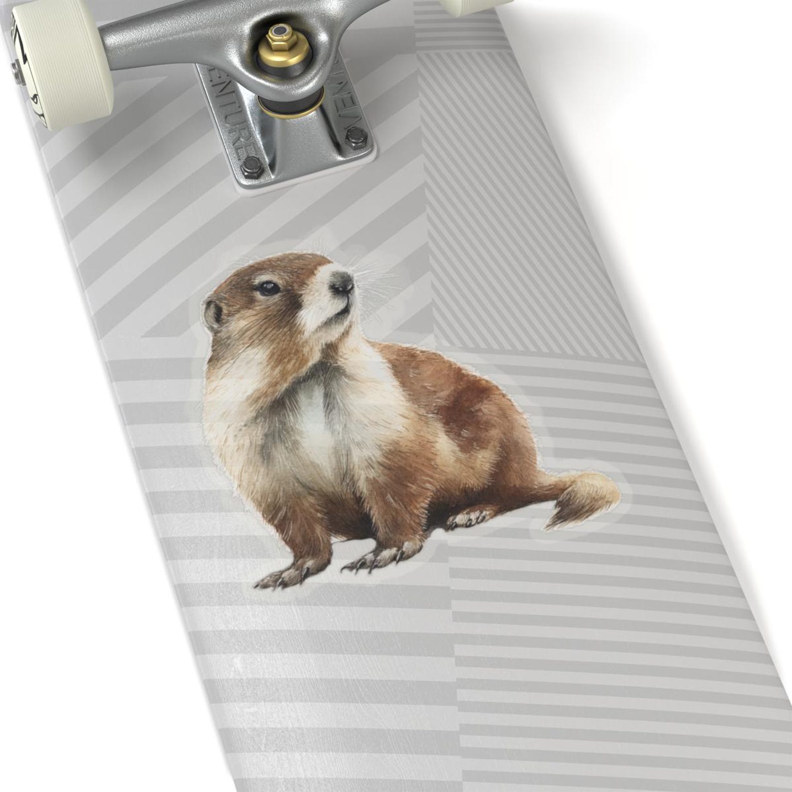 Prairie Dog Stickers, Cute Marmot Decals, Laptop Decor, Nature Lover ...
