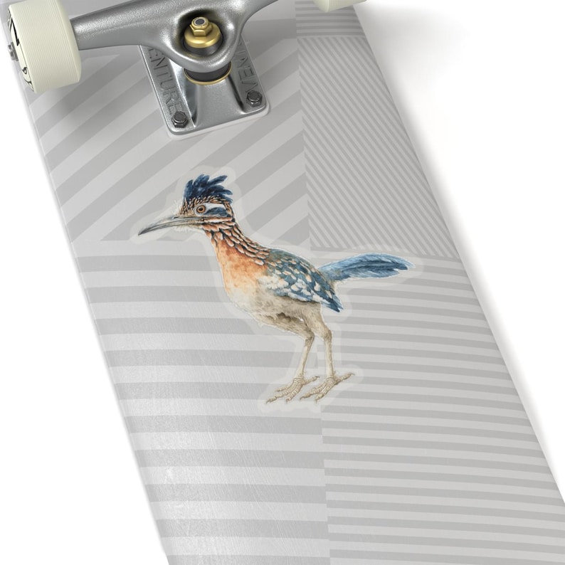 Roadrunner Sticker, Watercolor Bird Decal for Laptops, Water Bottles ...