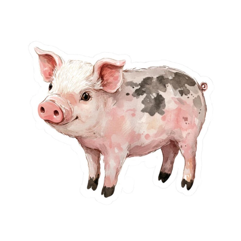 Pig Sticker or Decal, Farm Animal Sticker, Nature Animals Country ...