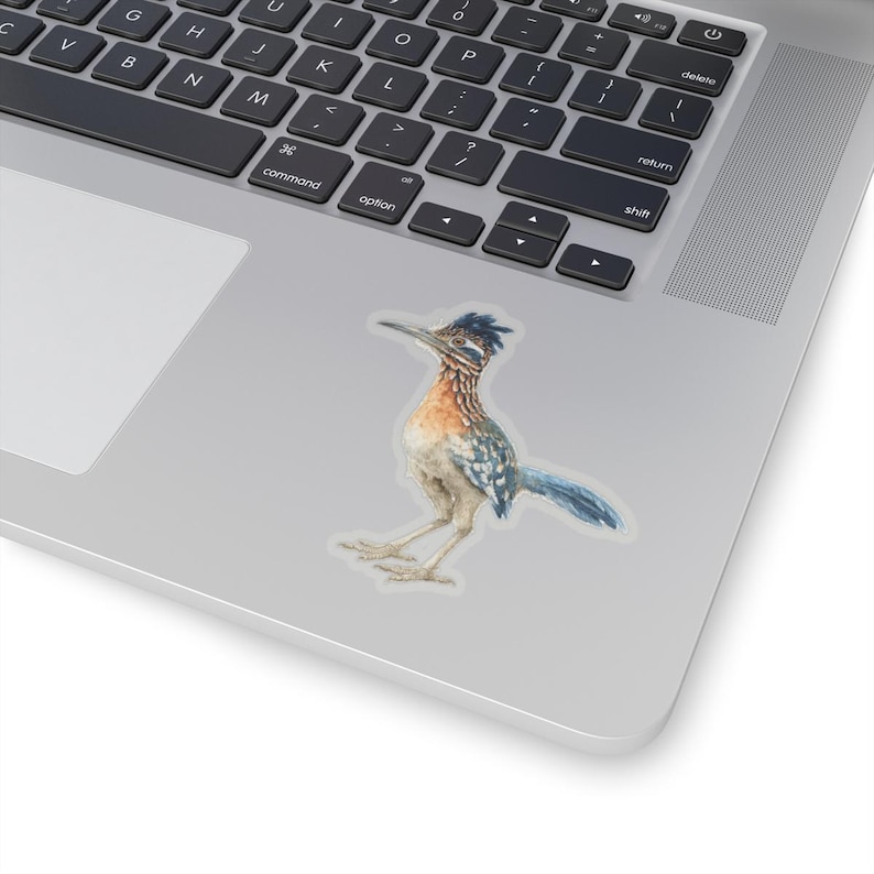 Roadrunner Sticker, Watercolor Bird Decal for Laptops, Water Bottles ...
