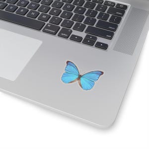 Blue Butterfly Sticker, Morpho Anaxibia Sticker, Laptop Vinyl Sticker ...