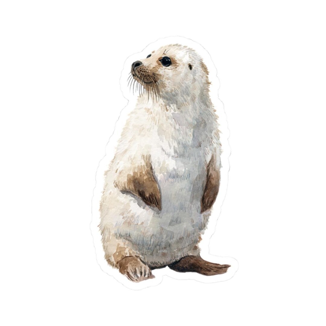 Adorable Seal Sticker, Cute Animal Stickers for Laptops, Notebooks ...