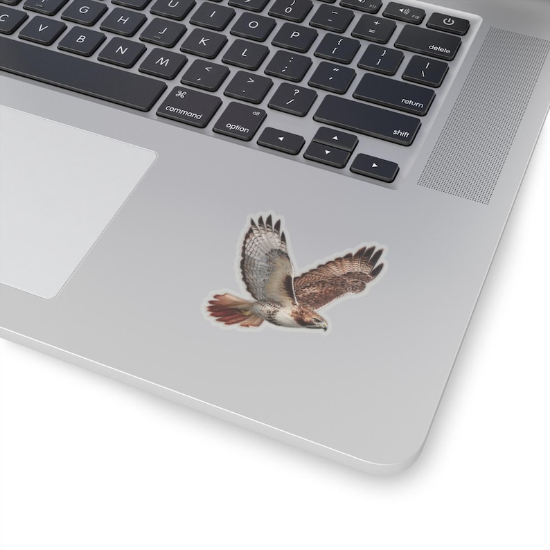 Hawk Sticker, Red-tailed Hawk Decal, Bird Stickers, Nature Animals ...