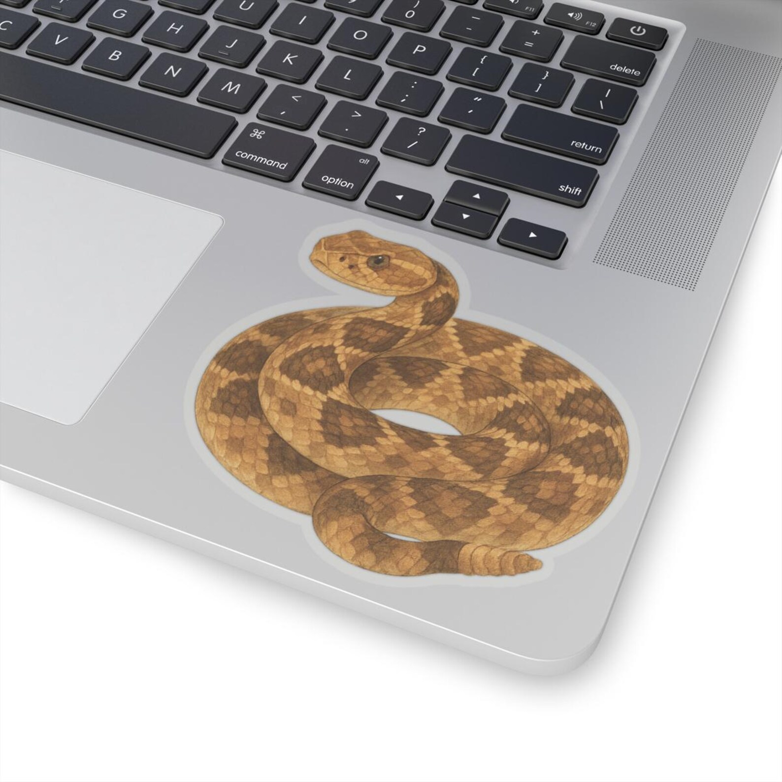 Diamondback Rattlesnake Sticker, Snake Decal, Laptop Styling, Wildlife ...
