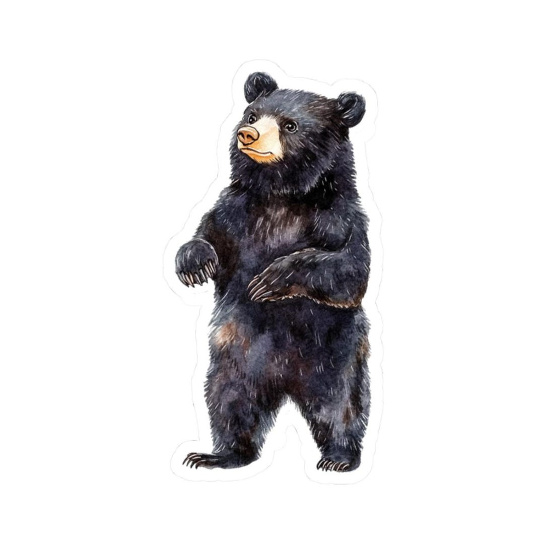 Black Bear Sticker or Decal, Bear Sticker, Nature Animals Tropical ...