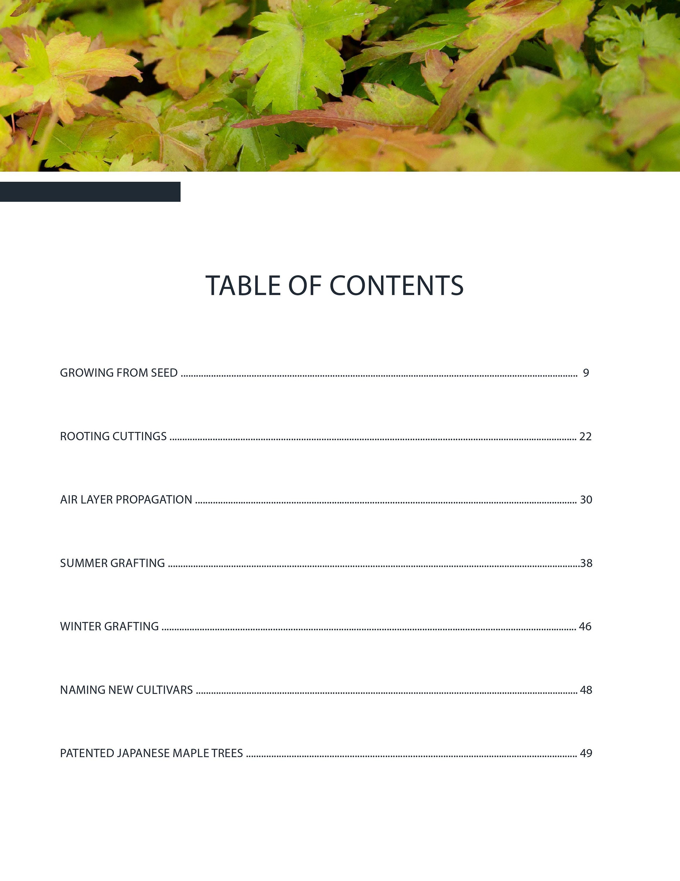Japanese Maple Tree Propagation Guide Book | Digital Book Download - Etsy