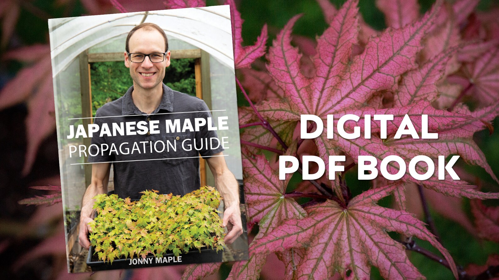 Japanese Maple Tree Propagation Guide Book | Digital Book Download - Etsy