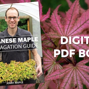 Japanese Maple Tree Propagation Guide Book | Digital Book Download - Etsy