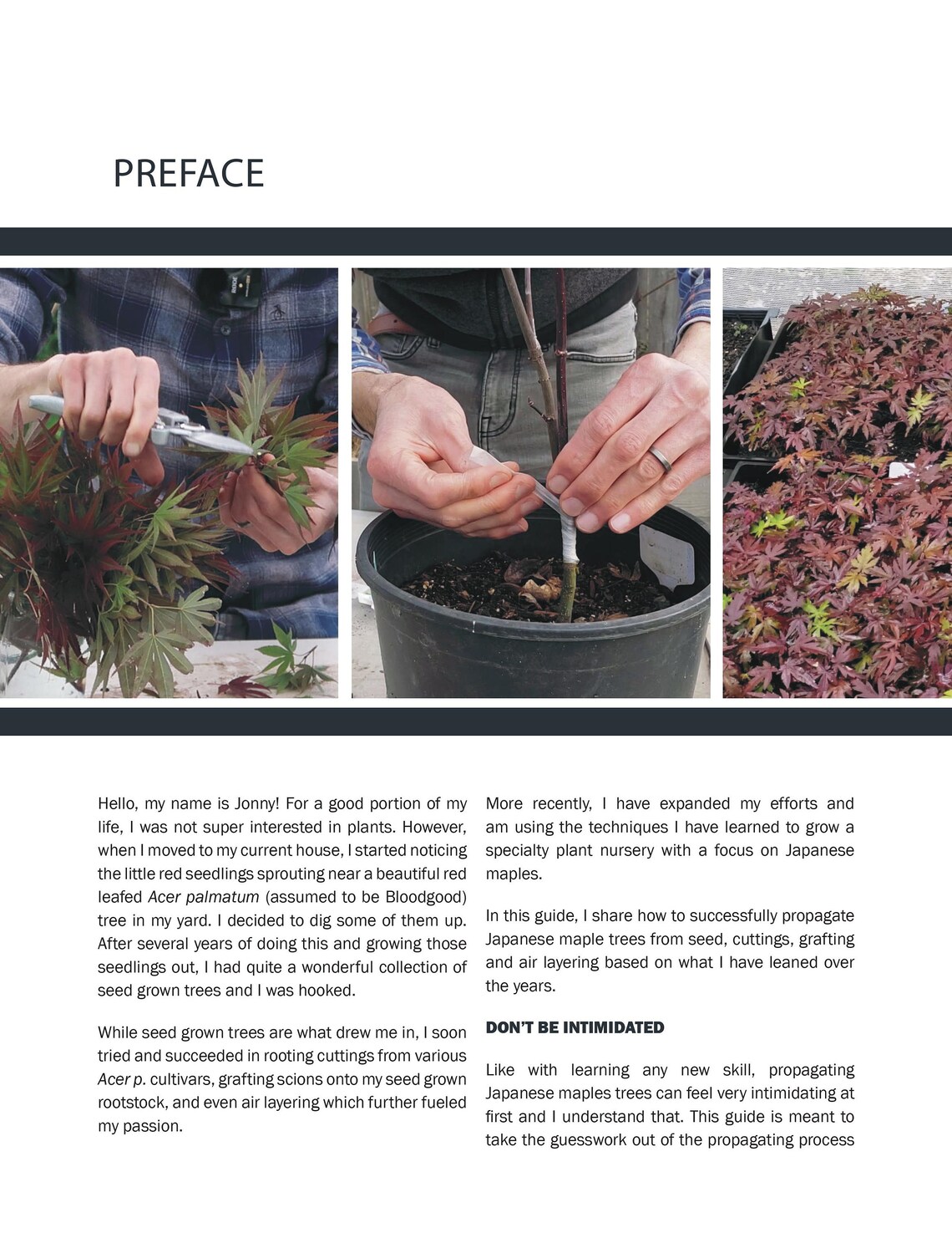 Japanese Maple Tree Propagation Guide Book | Digital Book Download - Etsy