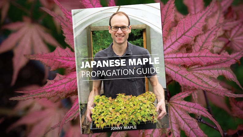 Japanese Maple Tree Propagation Guide Book | Digital Book Download - Etsy