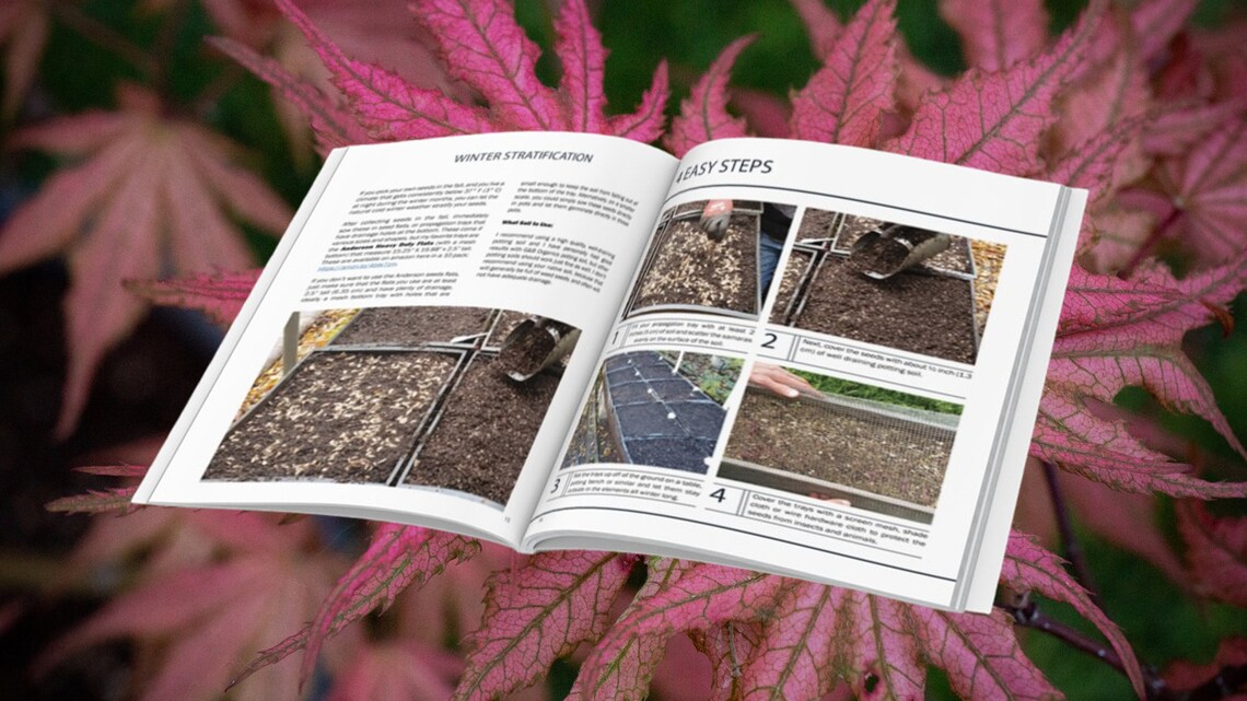 Japanese Maple Tree Propagation Guide Book | Digital Book Download - Etsy