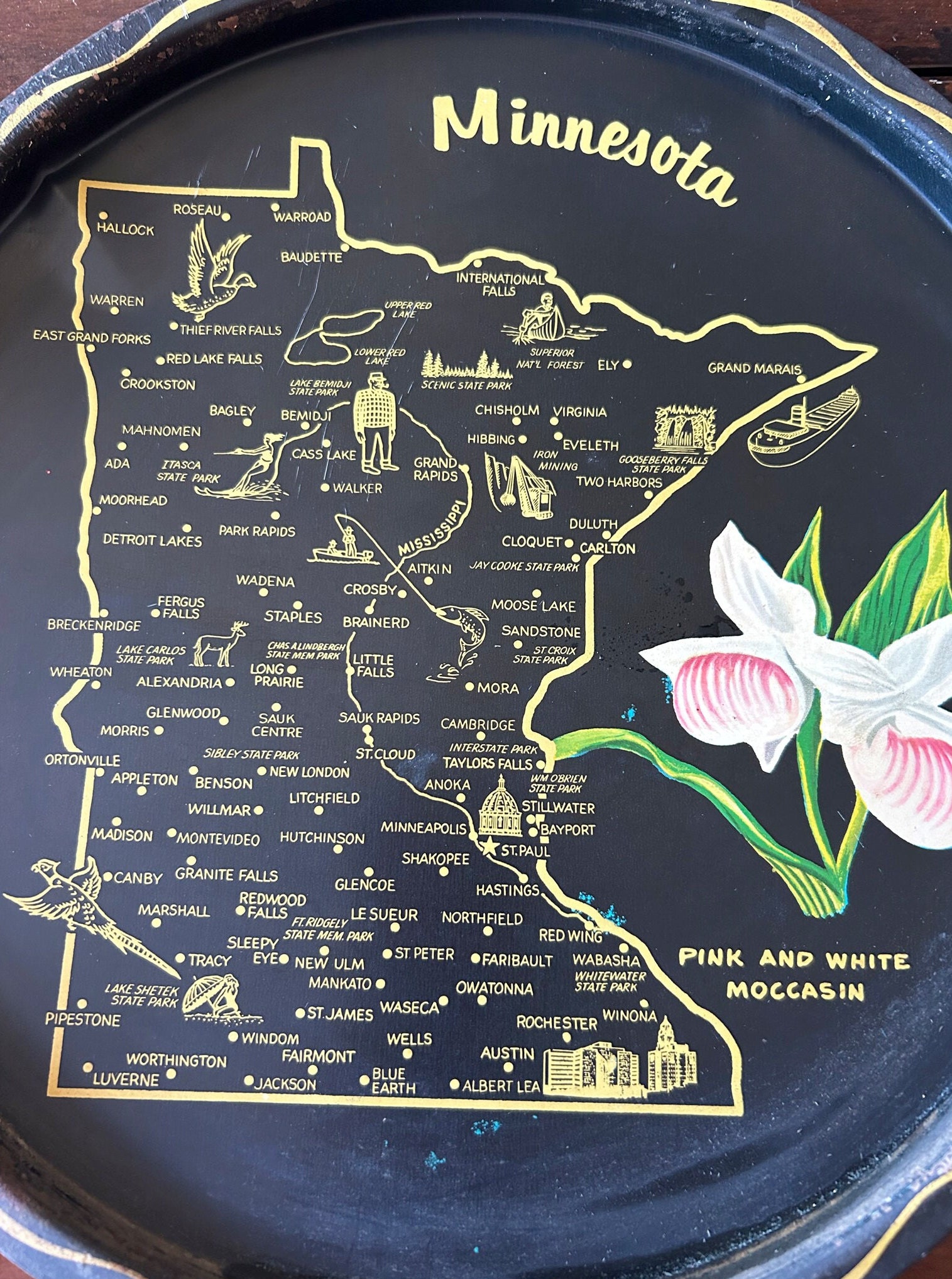 Vintage Wall Decor, 1960s Minnesota State Map With State Flowers Pink ...