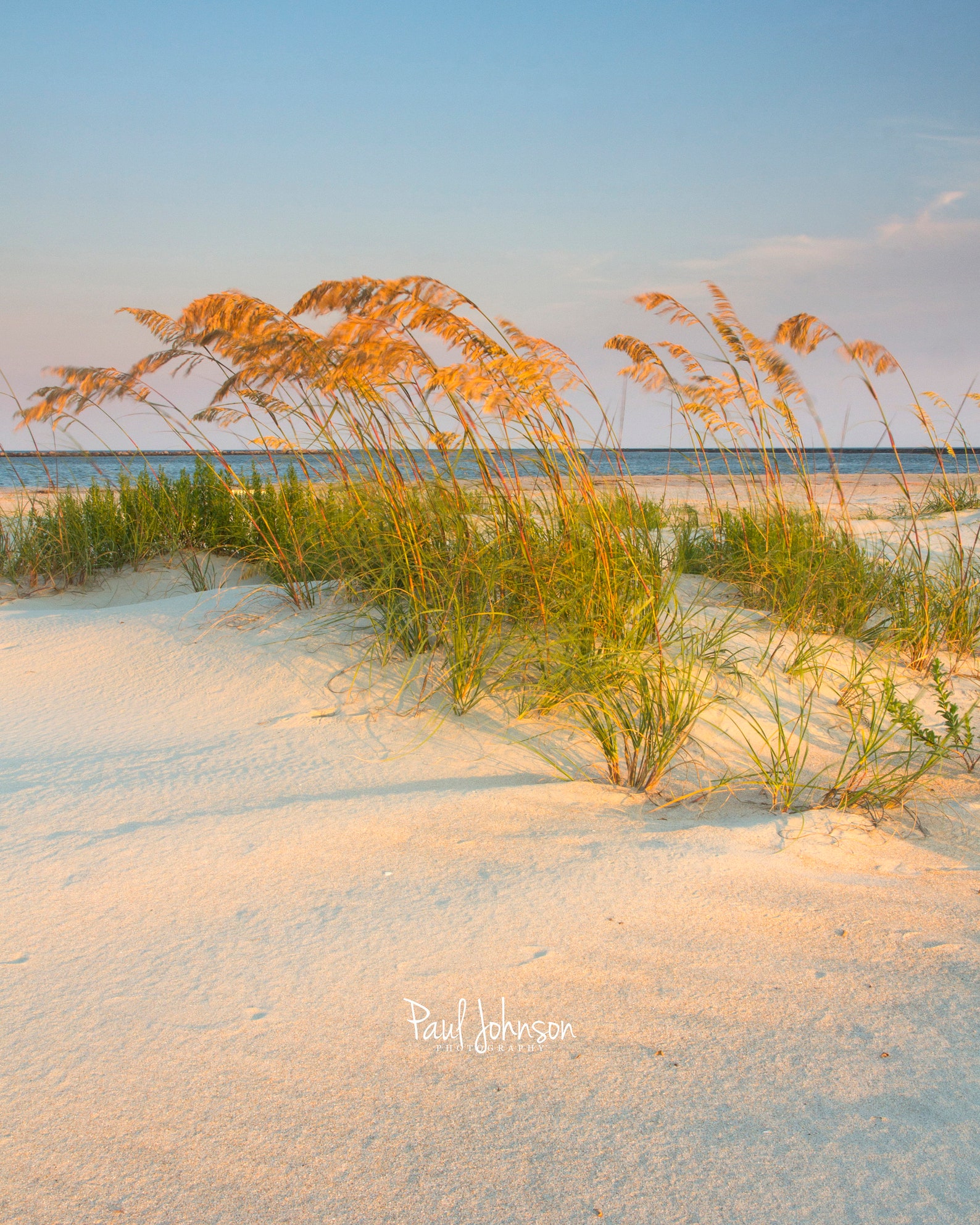 Sea Oats Digital Download Printable Image - Etsy