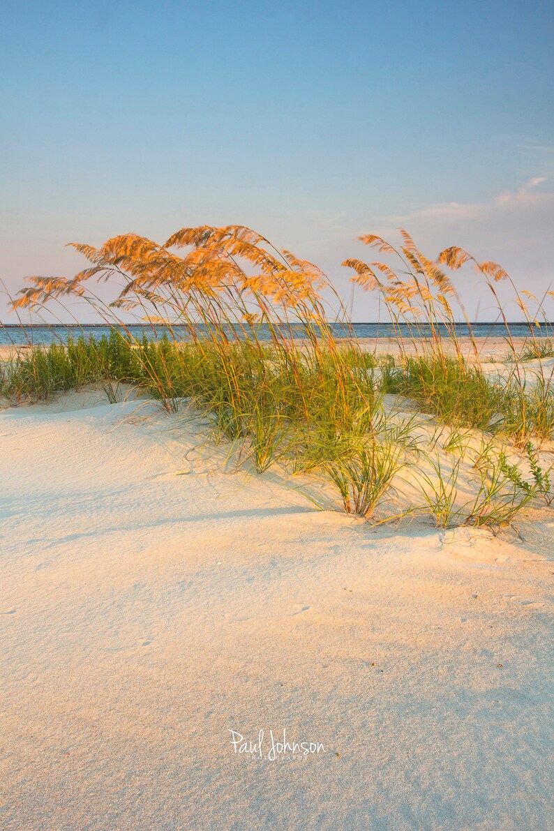 Sea Oats Digital Download Printable Image - Etsy