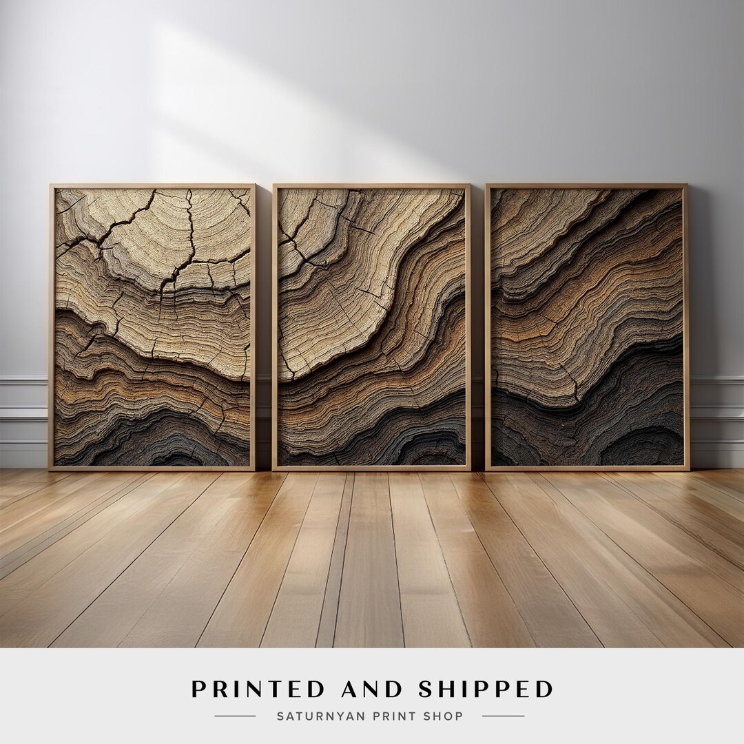 Rustic Tree Ring Abstract Art Set | Modern Earthy Brown & Black Wood ...