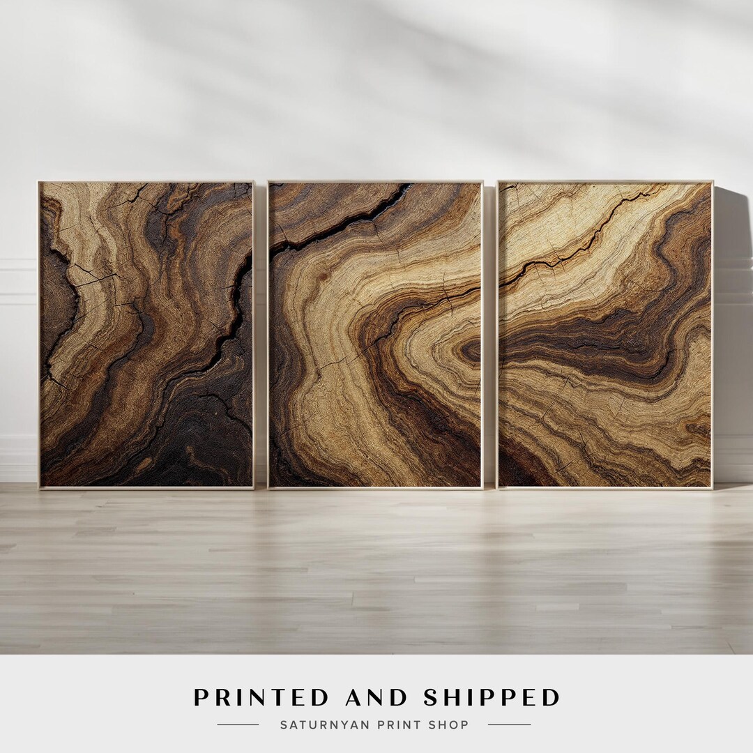 Modern Rustic Wall Art Set of 3 | Abstract Wood Grain Art Prints in ...