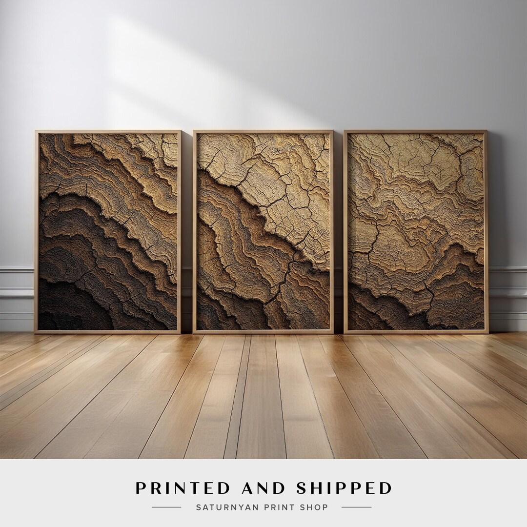 Cracked Earth Abstract Wall Art Set | Nature-inspired Sediment Canvas ...