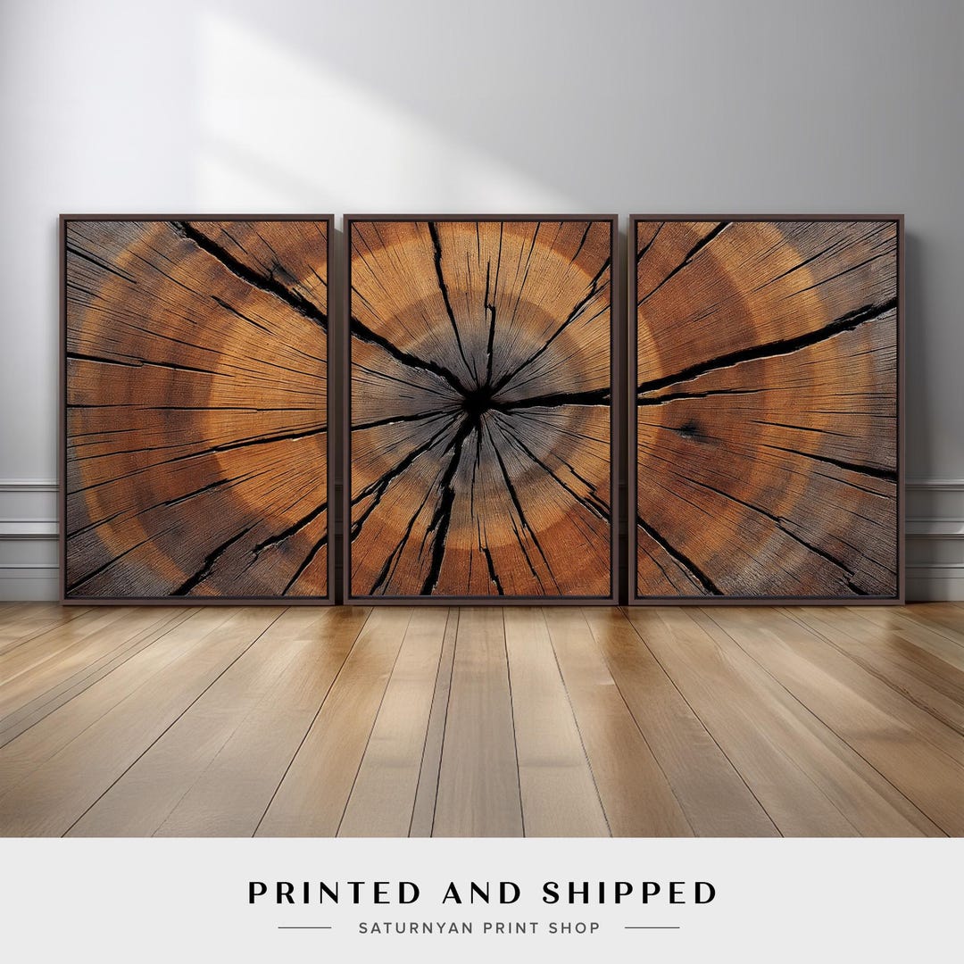Wood Wall Art Set of 3 | Rustic Tree Ring Abstract Canvas Triptych With ...
