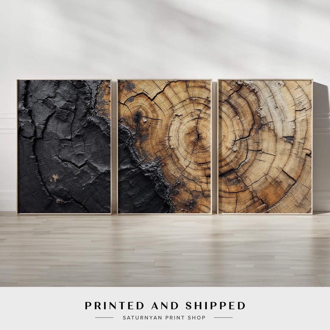 Rustic Tree Rings Wall Art | Set of 3 Unique Wood Grain Triptych ...