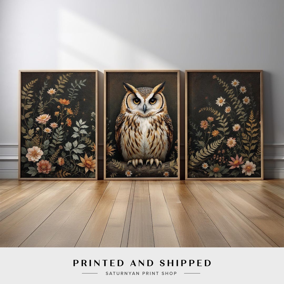 Woodland Owl Wall Art Set of 3 | Rustic Boho Animal Canvas Prints With ...