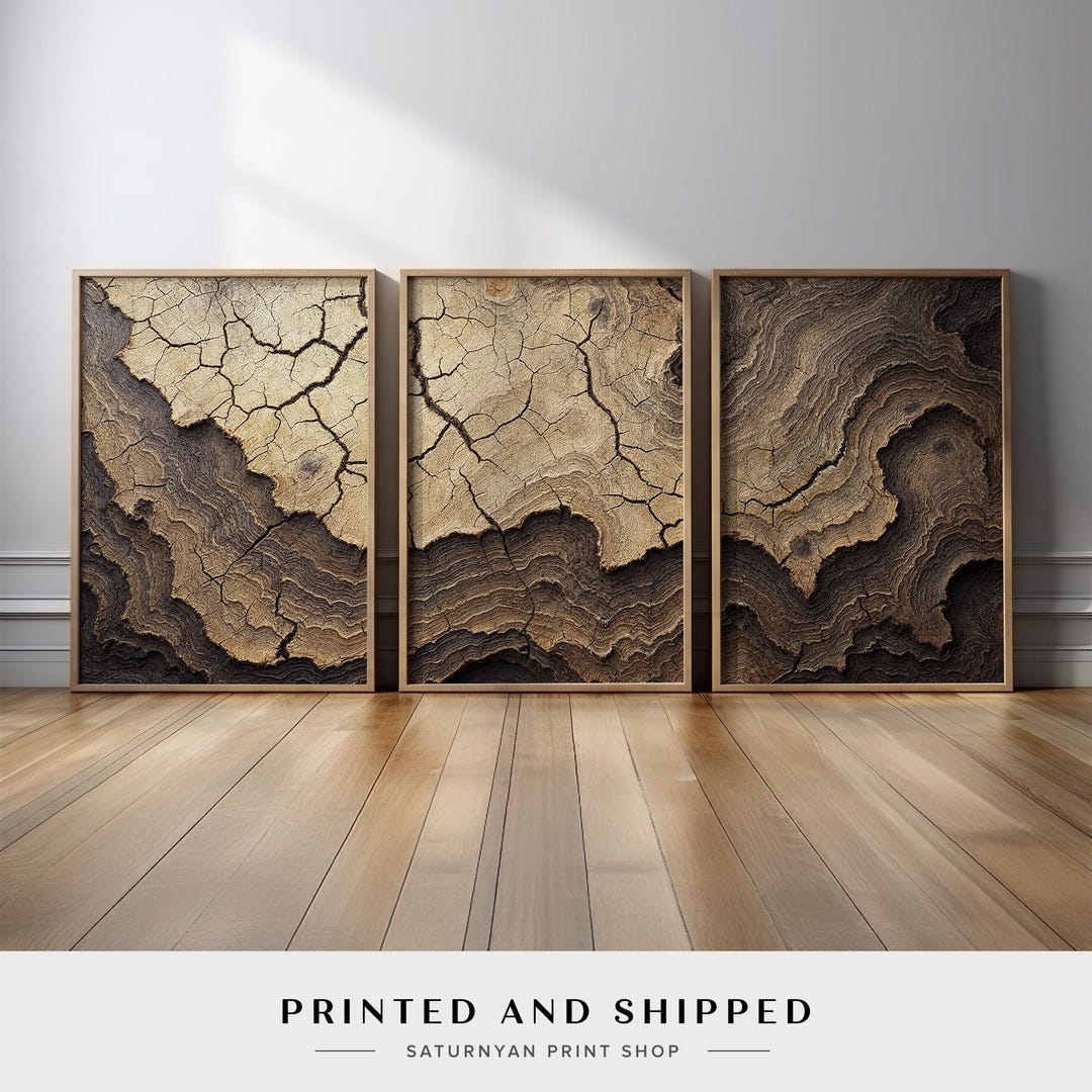 Rustic Earth Layer Wall Art Set of 3 | Nature Inspired Cracked Soil ...