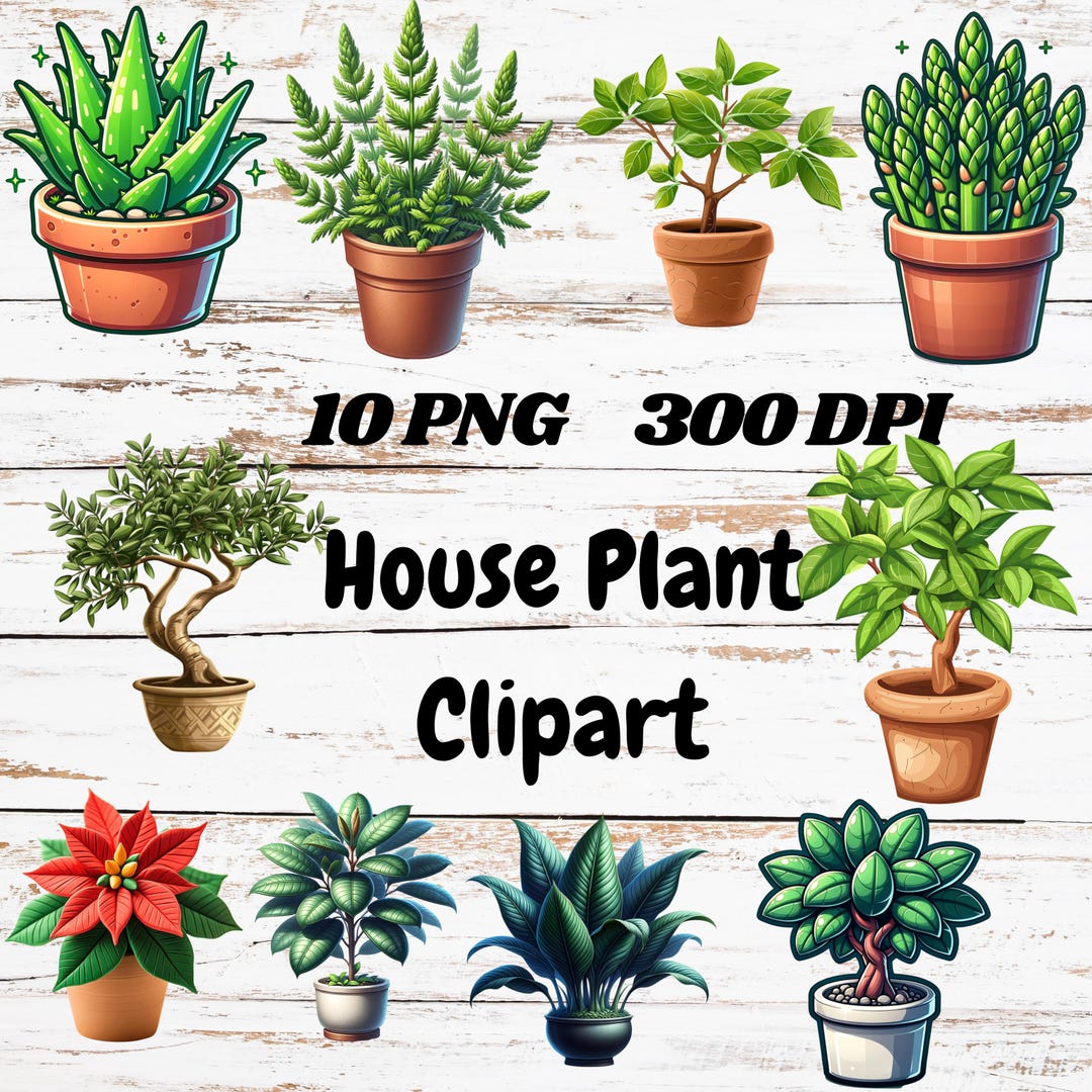 House Plant Clipart. Digital Art & Sublimation. PNG Format,house Plant ...