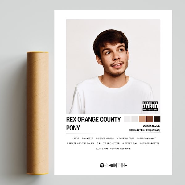 Rex Orange County Album Cover Poster - Etsy