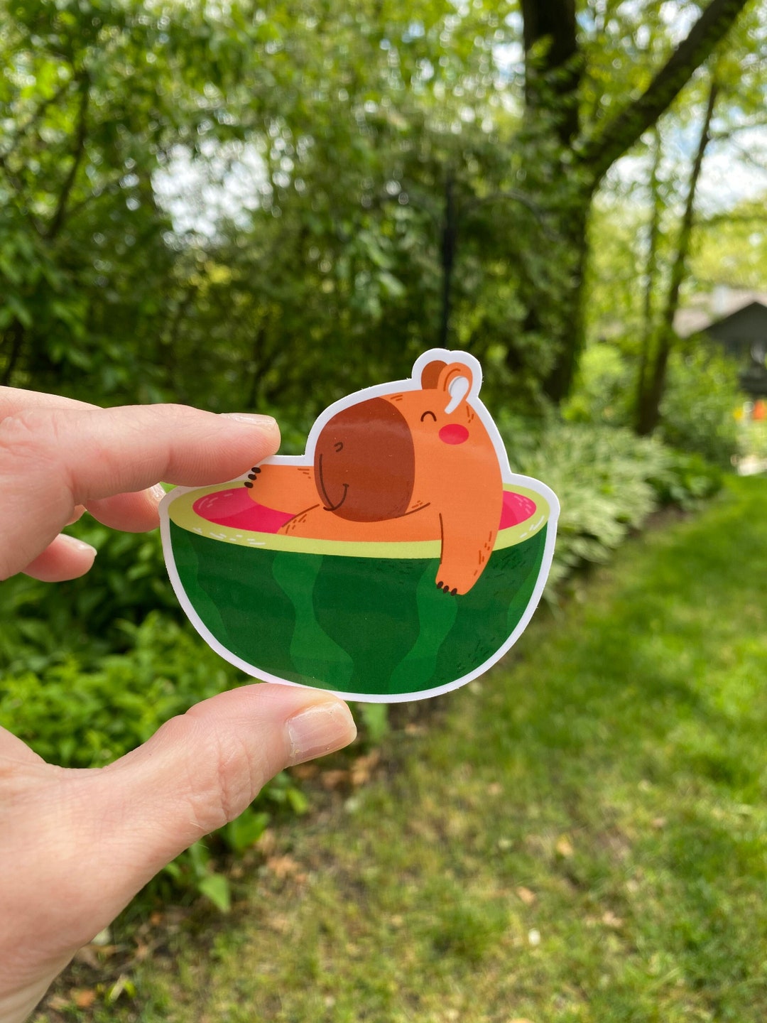 Chill Capybara Vinyl Sticker, Watermelon Lounge, Cute Animal Sticker ...