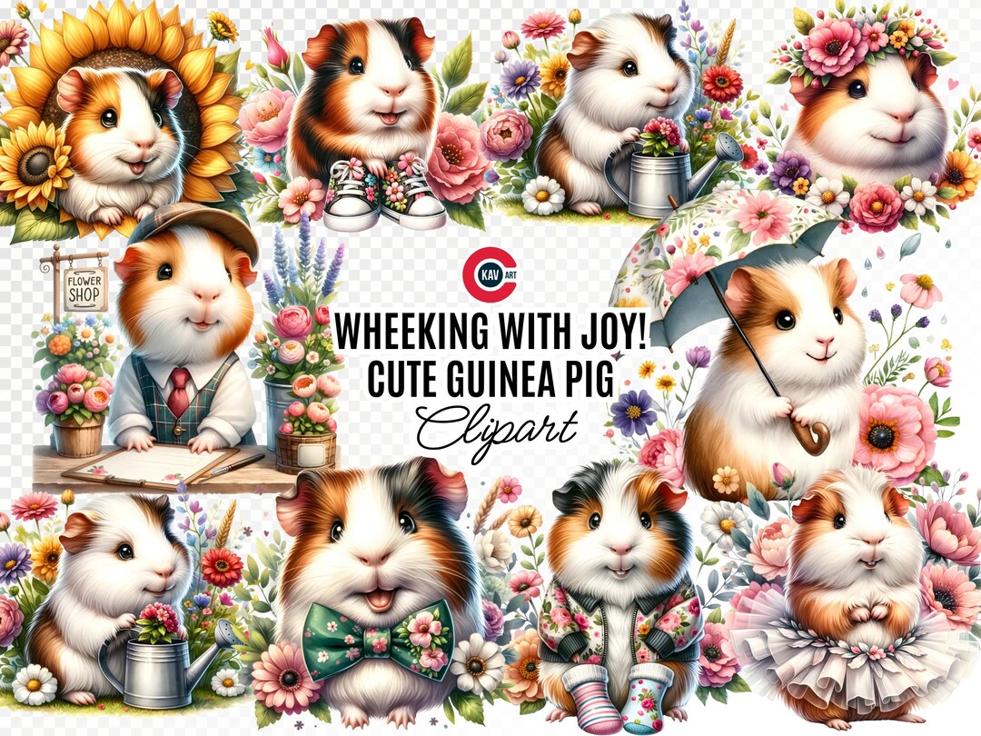 Guinea Pig and Flowers Clipart Bundle, Transparent PNG - Etsy