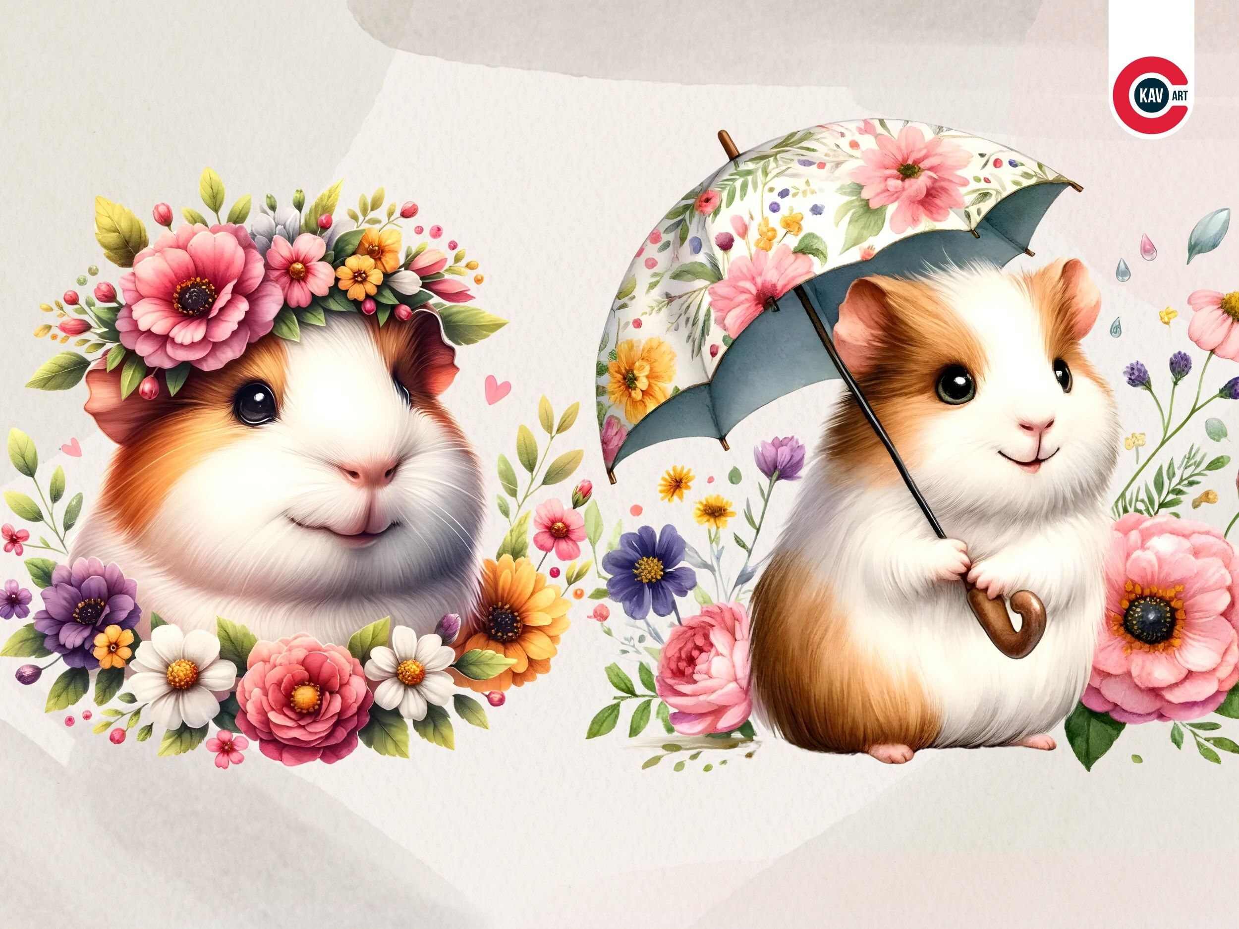 Guinea Pig and Flowers Clipart Bundle, Transparent PNG - Etsy