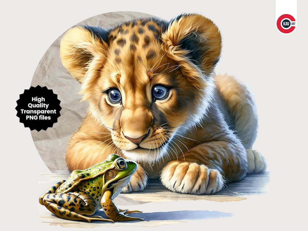 Cute Lion Cub Clipart Bundle, Lion Cub Illustration, Transparent PNG ...