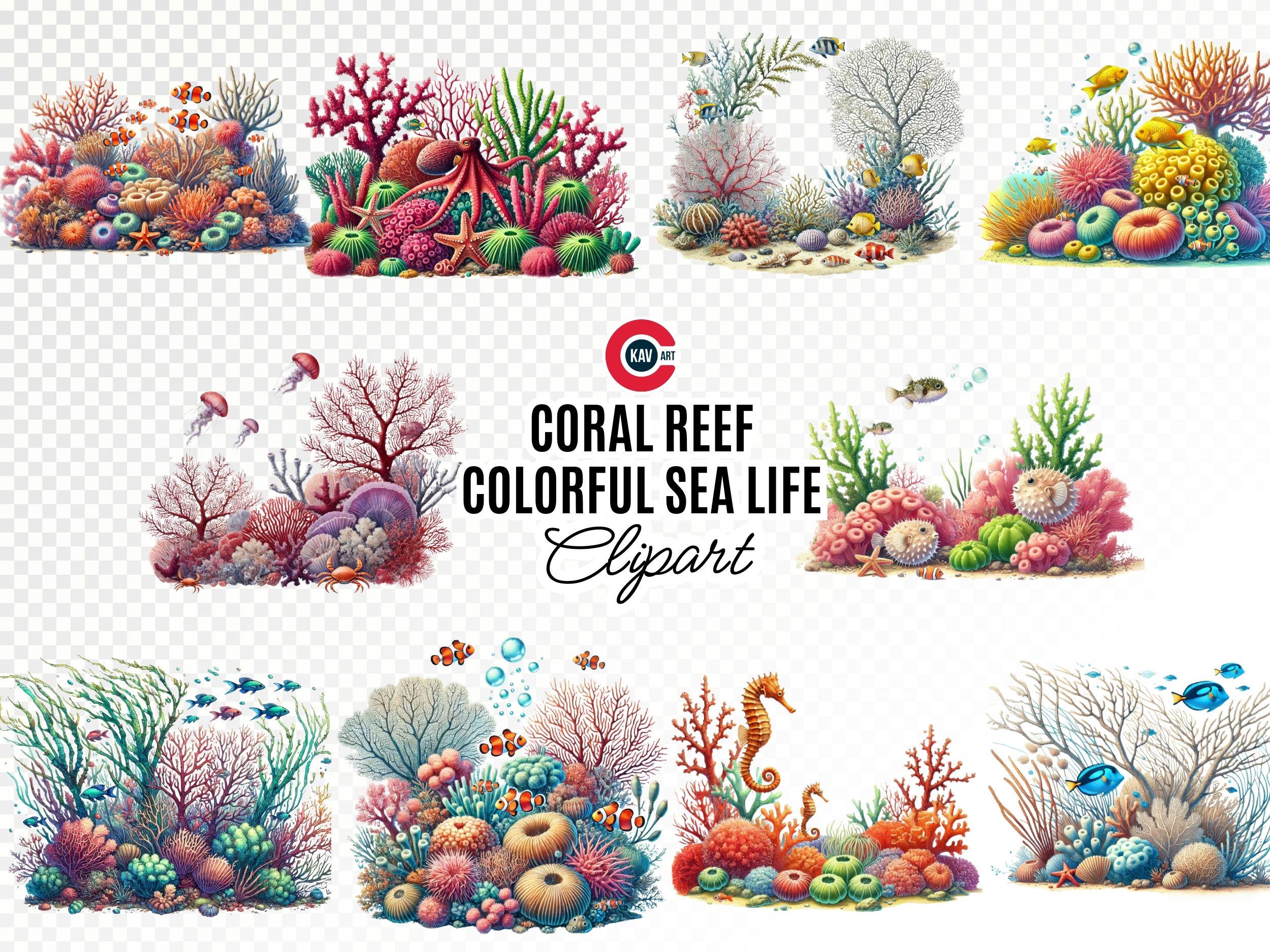 Coral Reef Watercolor Clipart: Sea Life, Plants (digital Download) - Etsy
