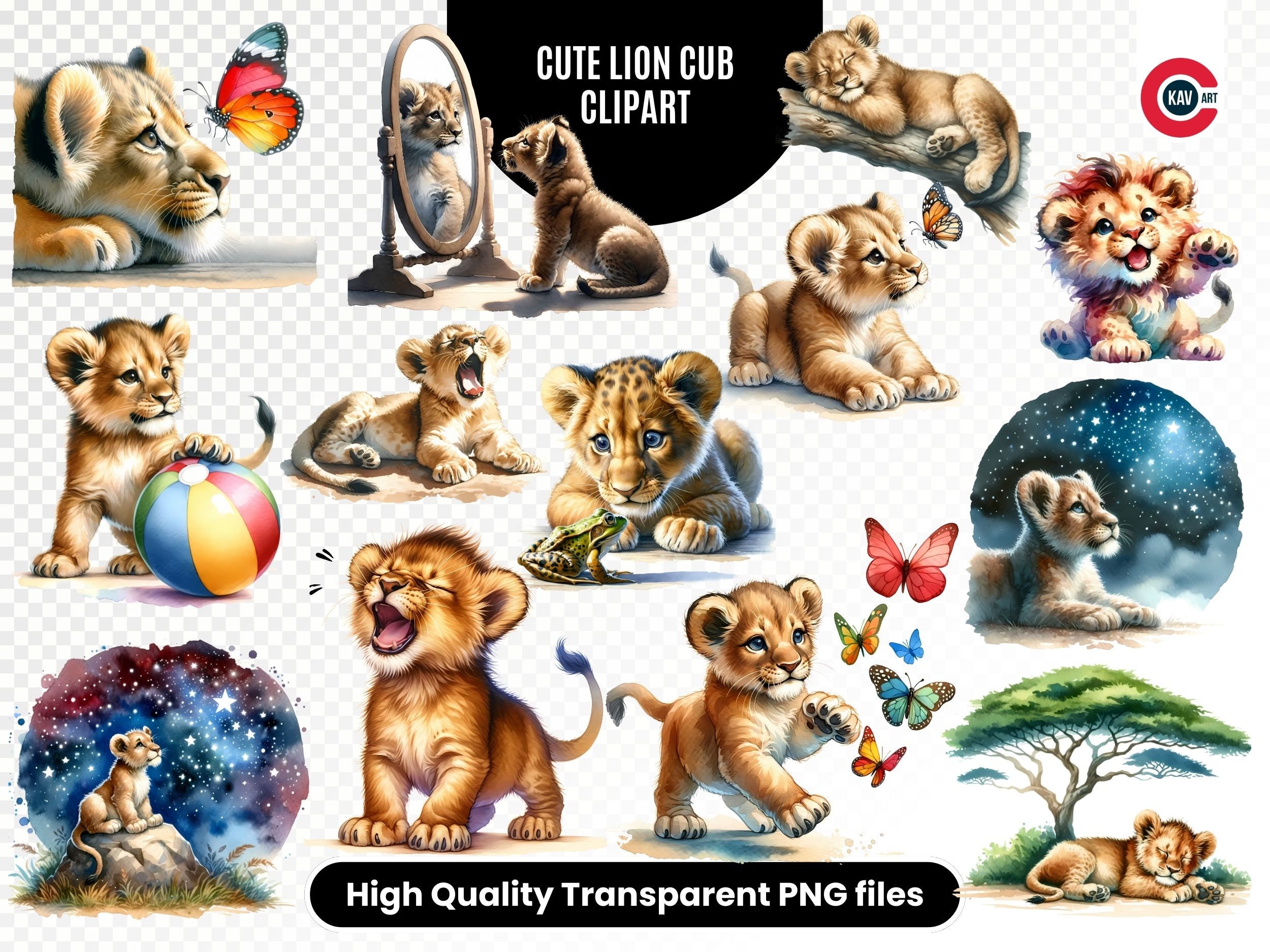 Cute Lion Cub Clipart Bundle, Lion Cub Illustration, Transparent PNG ...