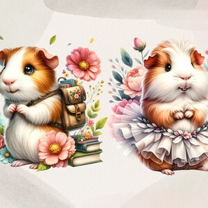 Guinea Pig and Flowers Clipart Bundle, Cute Guinea Pig Clipart, Cute ...