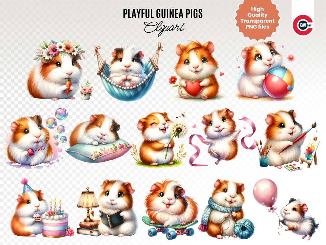 Playful Guinea Pigs! Watercolor Clipart Bundle, Cute Guinea Pigs ...