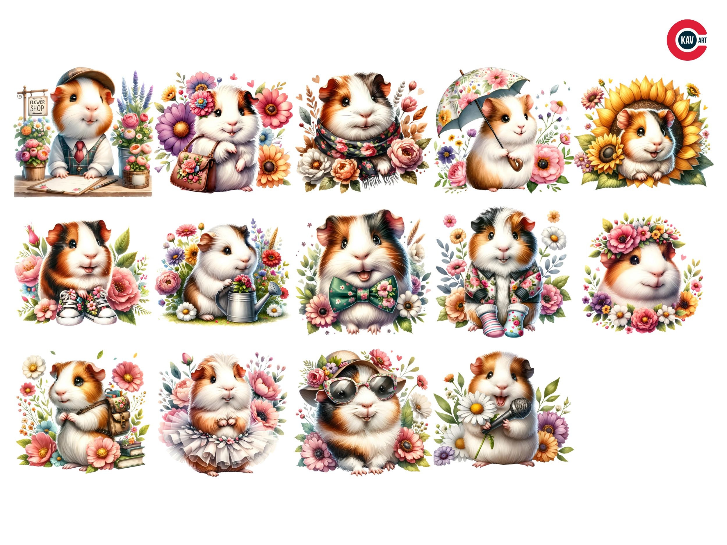 Guinea Pig and Flowers Clipart Bundle, Transparent PNG - Etsy