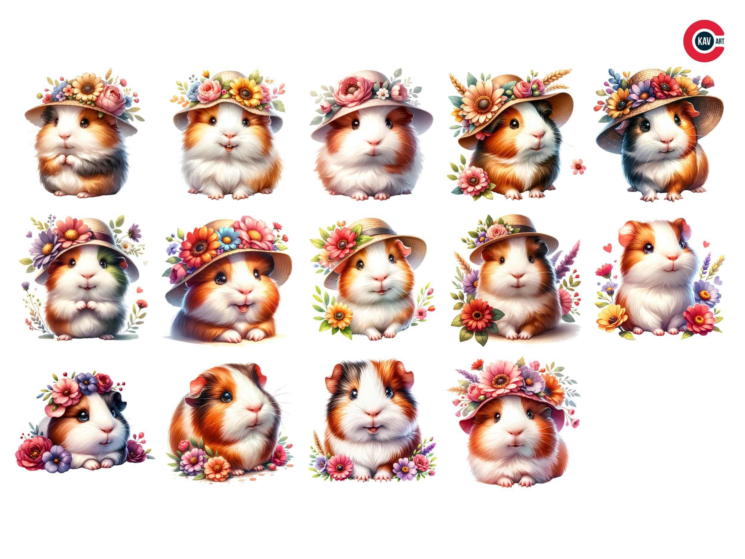 Guinea Pig and Flowers Clipart Bundle, Cute Guinea Pig Clipart, Cute ...