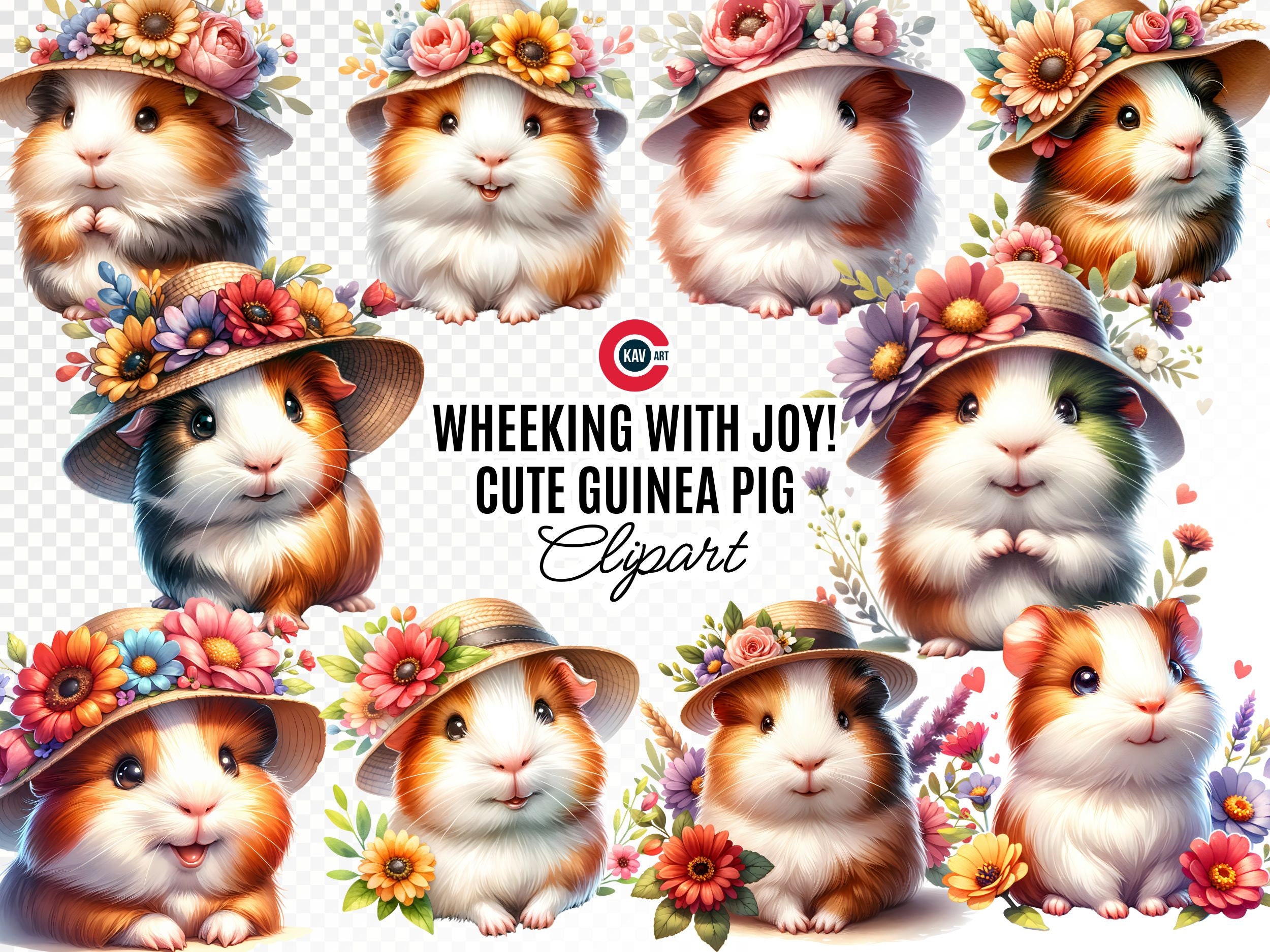 Guinea Pig and Flowers Clipart Bundle, Cute Guinea Pig Clipart, Cute ...