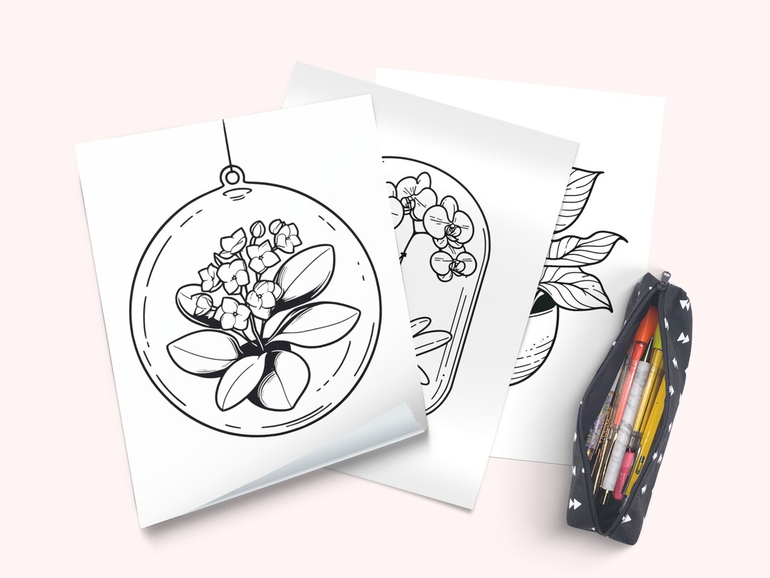 House Plant Coloring Pages | Boho Nature | Minimalist Scenery Coloring ...
