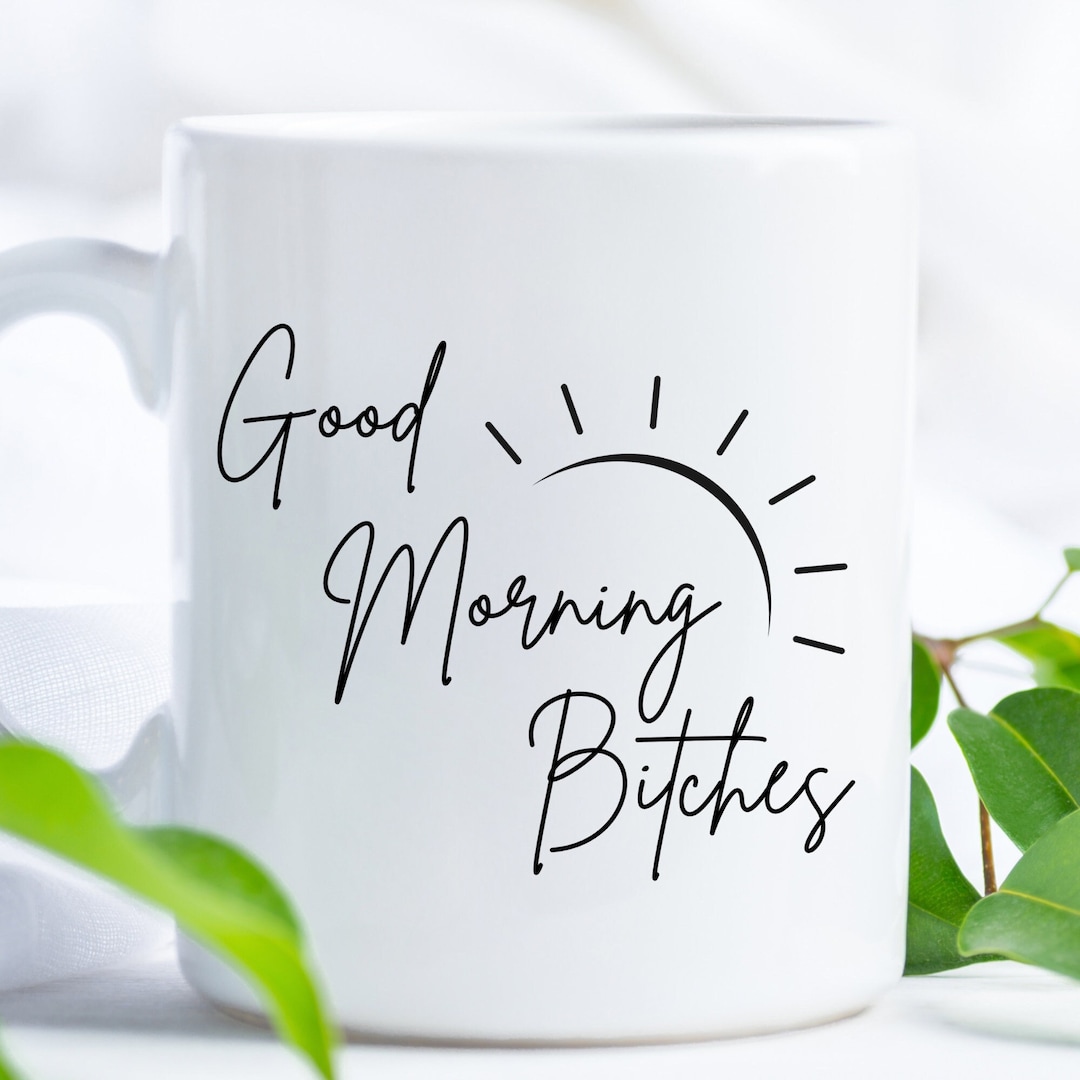 Snarky Good Morning Mug, Sarcastic Morning Mug, Funny Birthday Gift Mug ...