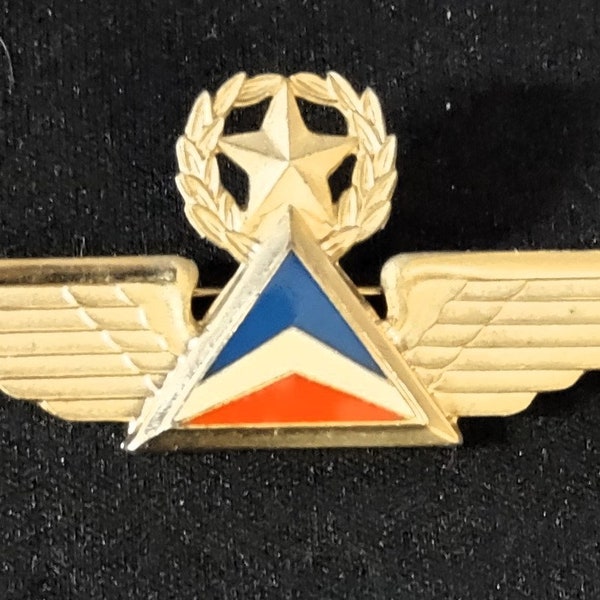Delta Wings Pin - Etsy